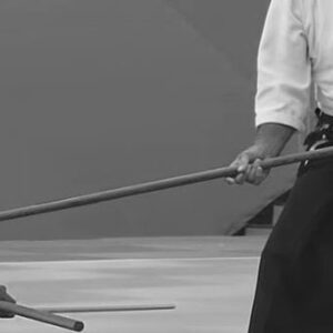Kuzushi – The Subtlety of Unbalancing Your Opponent in Aikido - Aikido ...