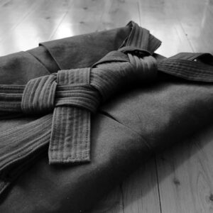 The Rare Beauty of Aikido in Japanese Manga - Aikido Discovery.Net