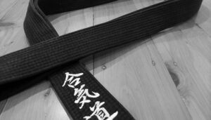Development of Dan Ranking System in Japanese Martial Arts and its ...